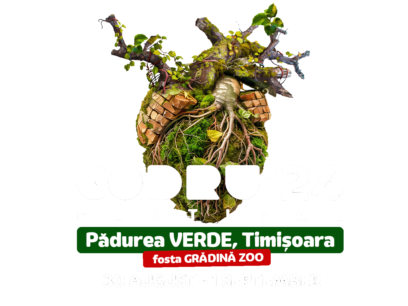 CODRU Festival - 30 August - 1 Septembrie 2024